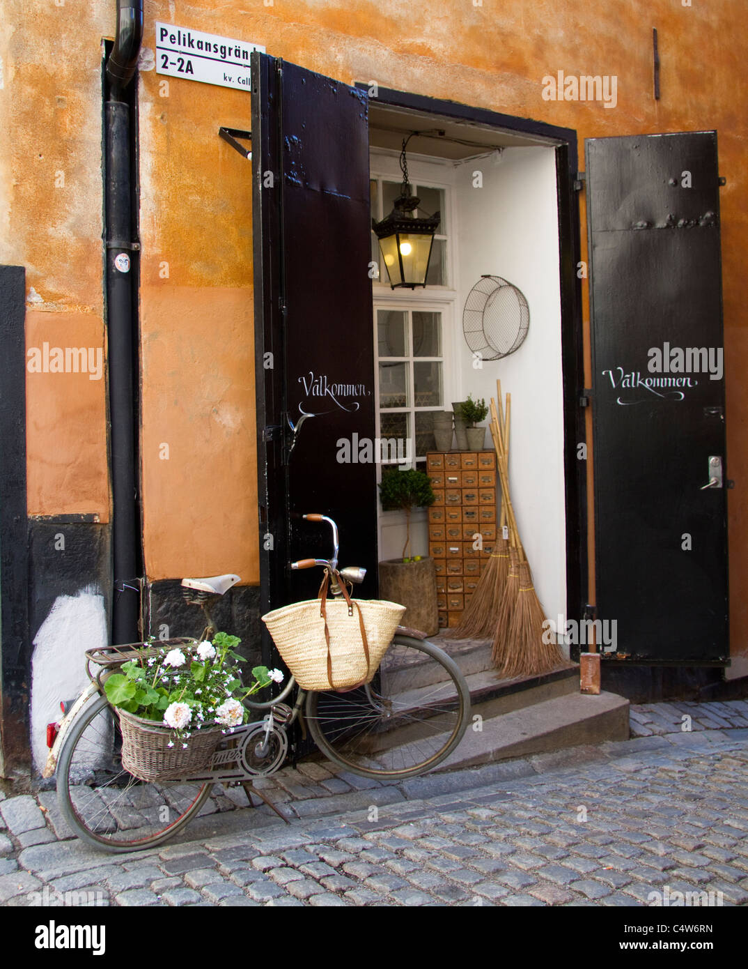 Stam hi-res stock photography and images - Alamy