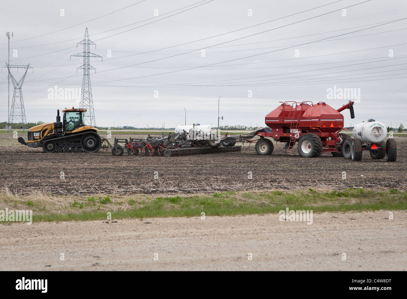Cat challenger hi-res stock photography and images - Alamy