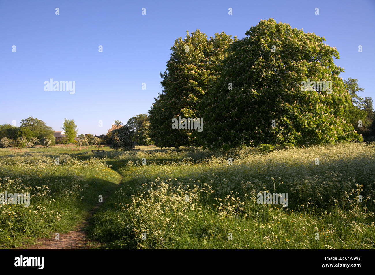 Trumpington meadows hi-res stock photography and images - Alamy