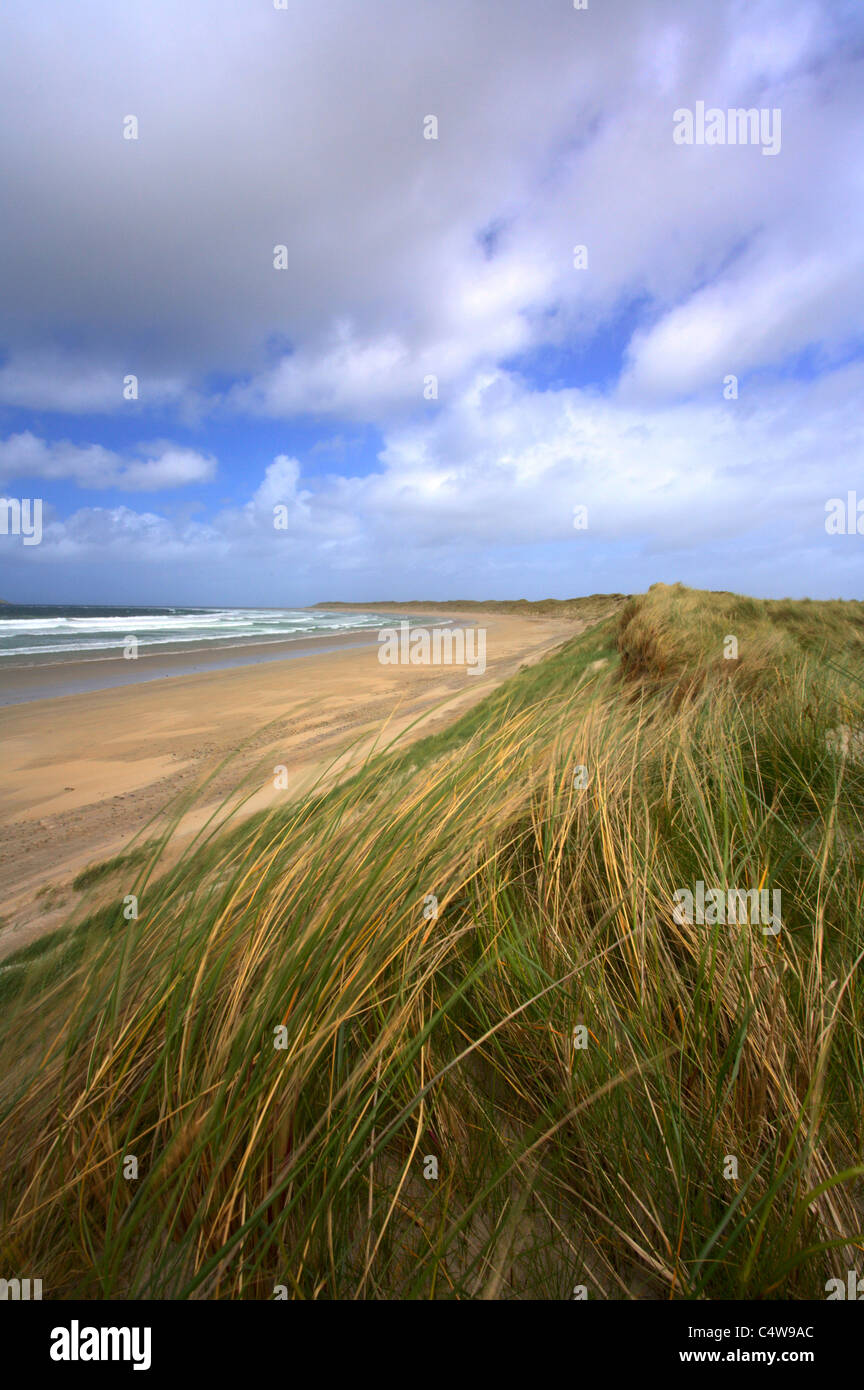 Magheraroarty bay, dunes, Marram grass, Donegal Southern Ireland Stock ...