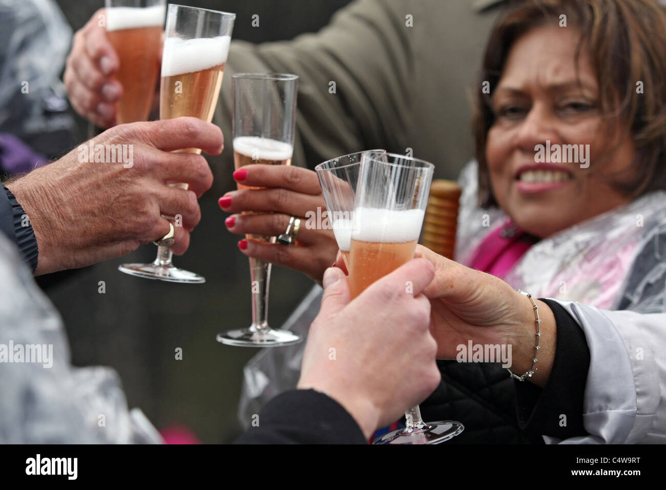 several people toasting with glasses of champagne at an outdoor wedding ...