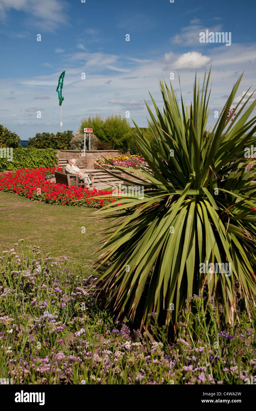 Council gardens in Sheringham Norfolk East Anglia ENgland Stock Photo ...