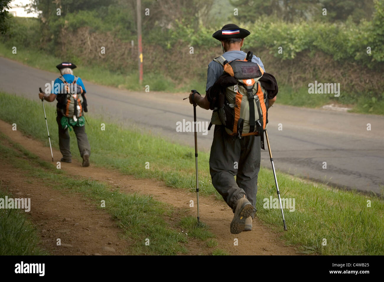 Pilgrims walk in a track in the French Way of St. James Way as they ...