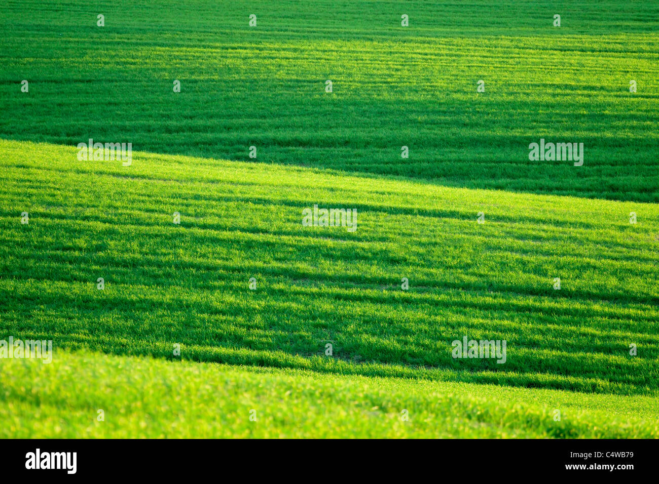 Meadow hill hi-res stock photography and images - Alamy