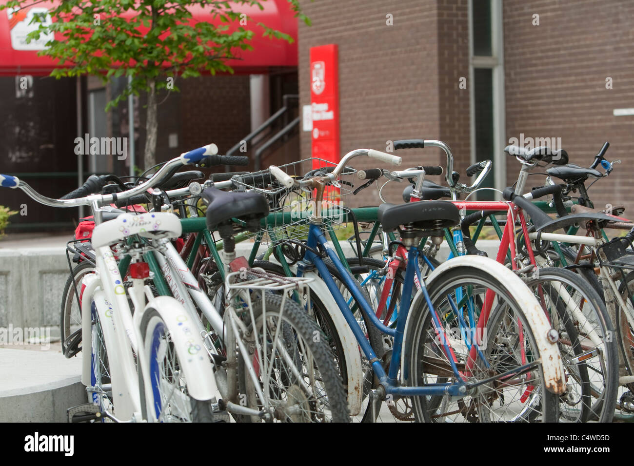 A rack full of bikes is pictured on the University of Winnipeg Stock ...