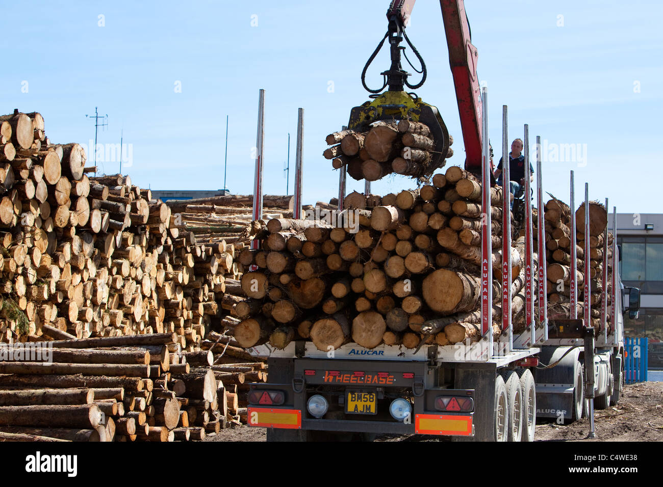 Scottish tree logging timber industry hi-res stock photography and ...