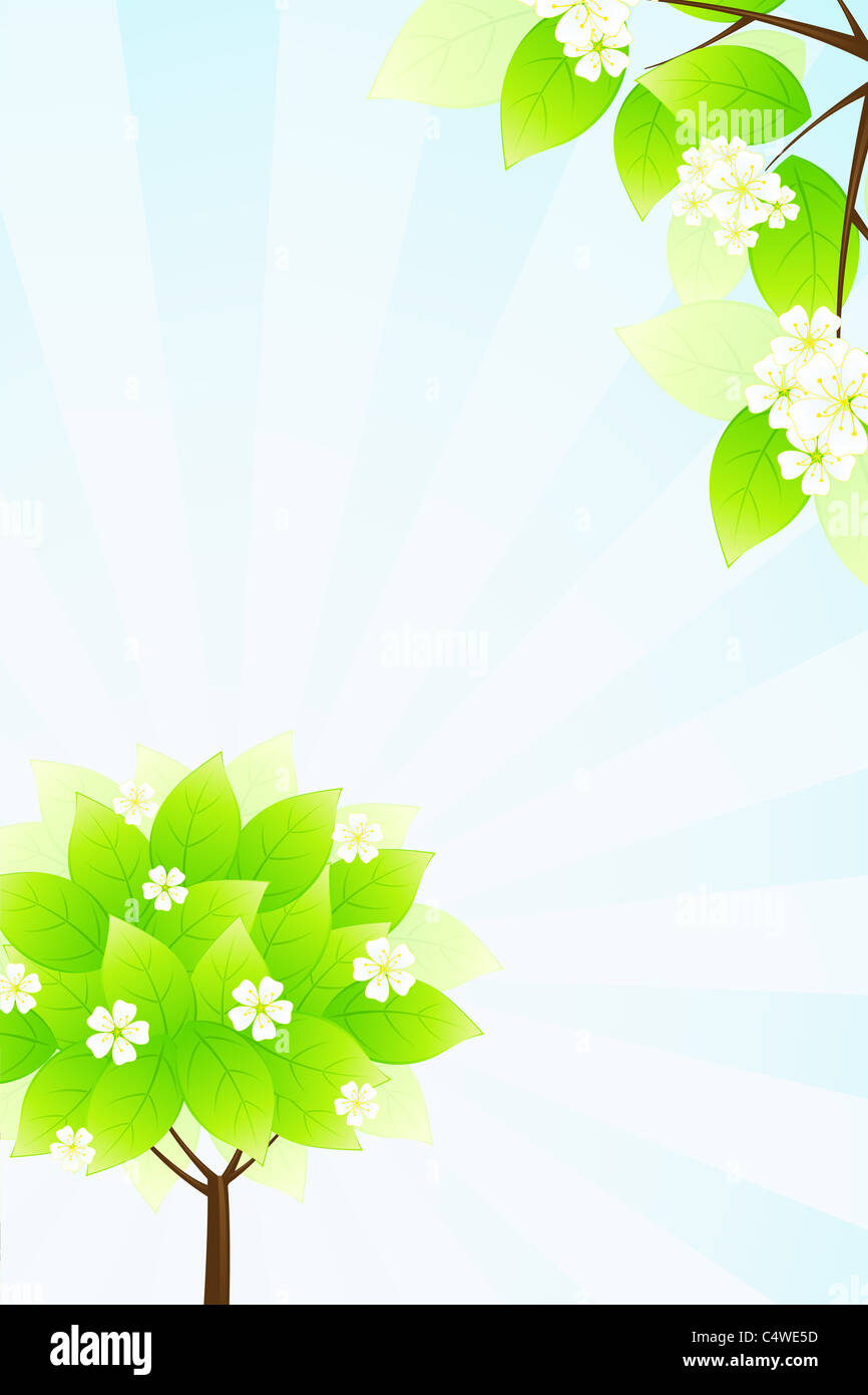 Green tree and sun rays in blue sky Stock Photo - Alamy
