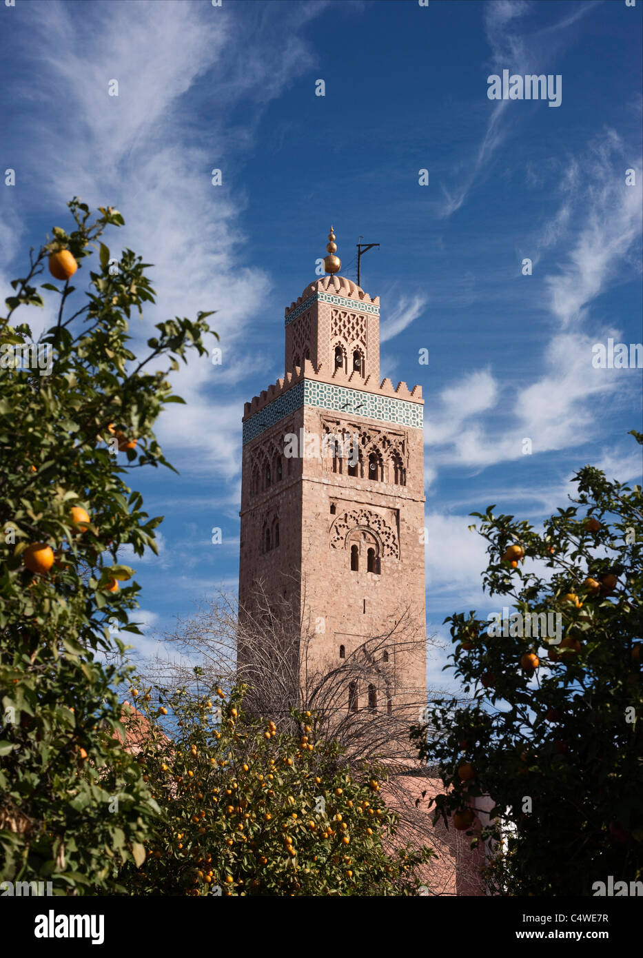 Orange fruit trees with the minaret of the Koutoubia mosque in the ...