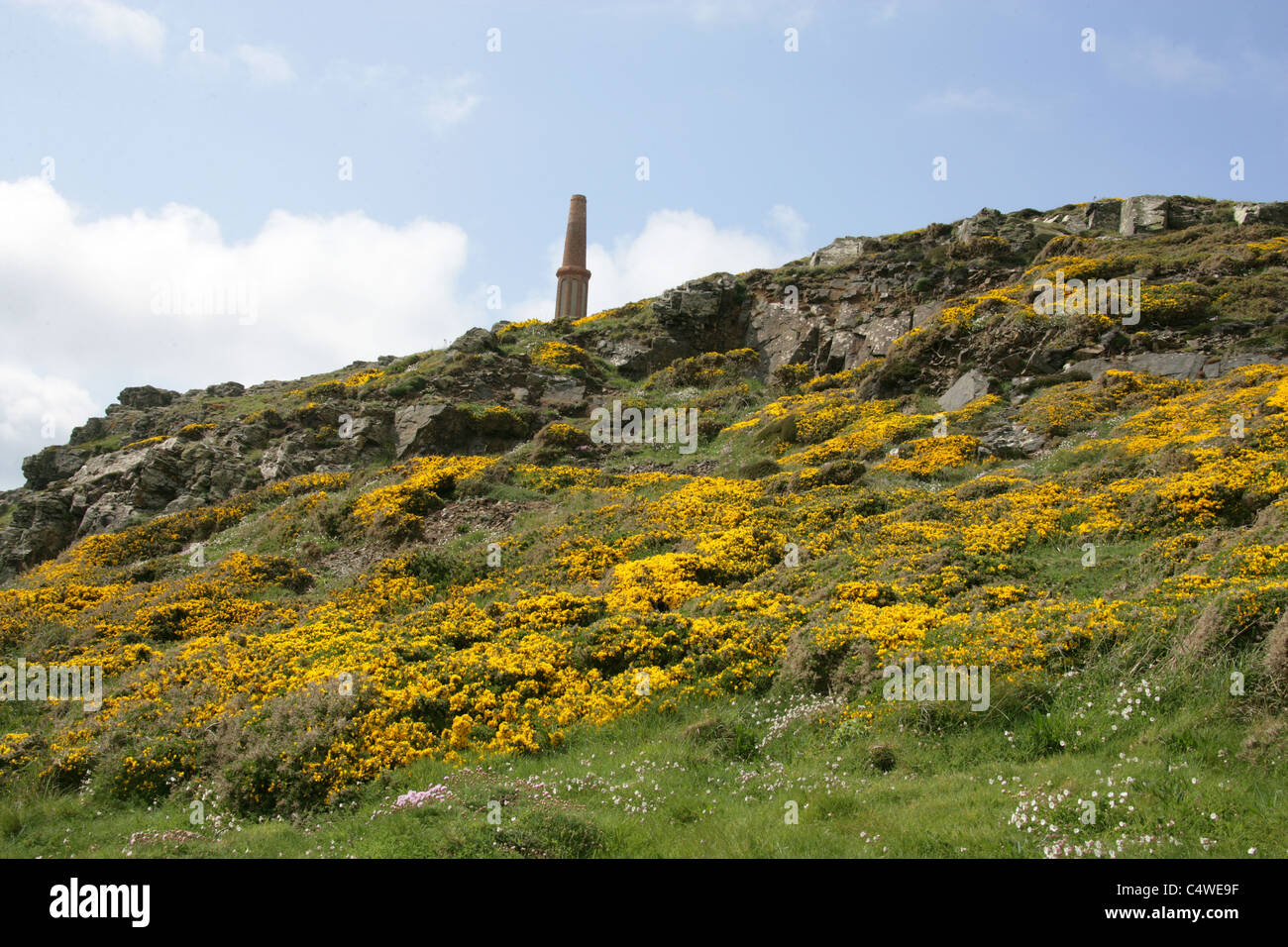 A View of Cape Cornwall, Cornwall, UK Stock Photo - Alamy