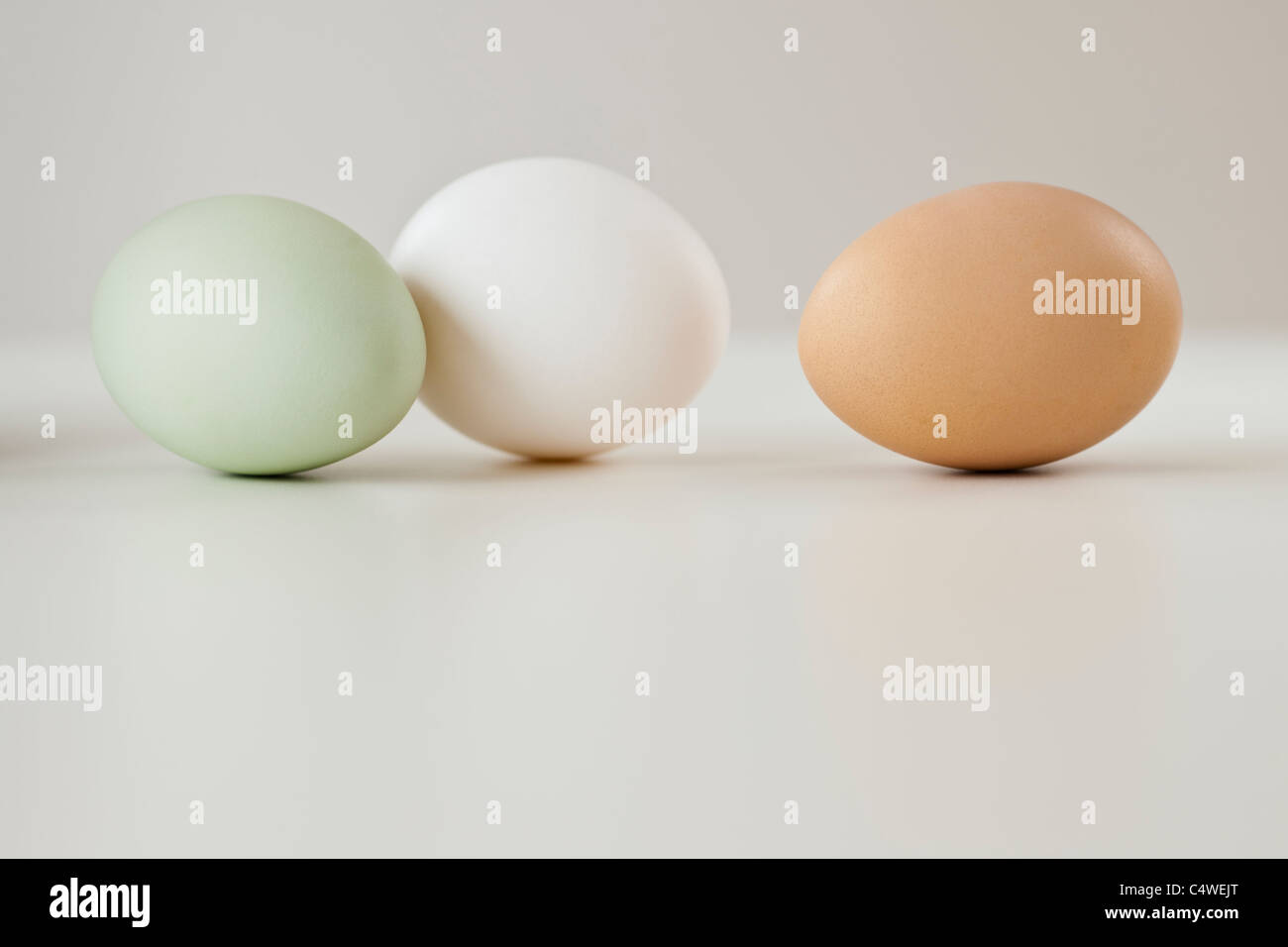 Row animal hi-res stock photography and images - Alamy