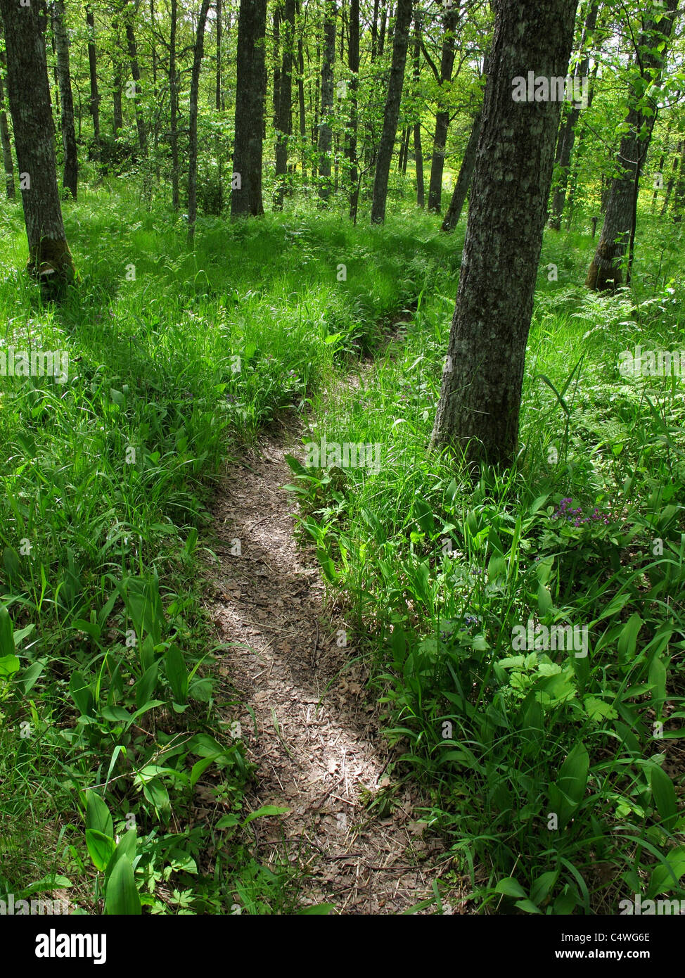 Archipelago national park and finland hi-res stock photography and ...