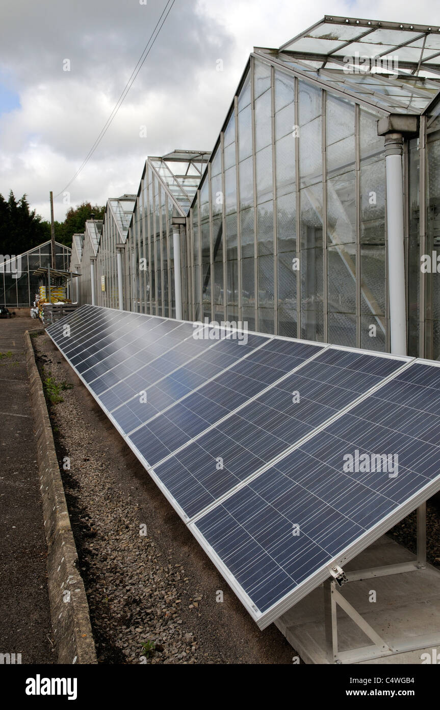 Solar panels producing electric power for greenhouses South Wales UK ...
