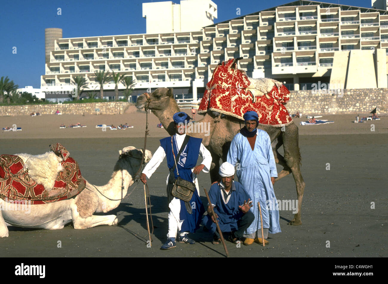Agadir camels hi-res stock photography and images - Alamy