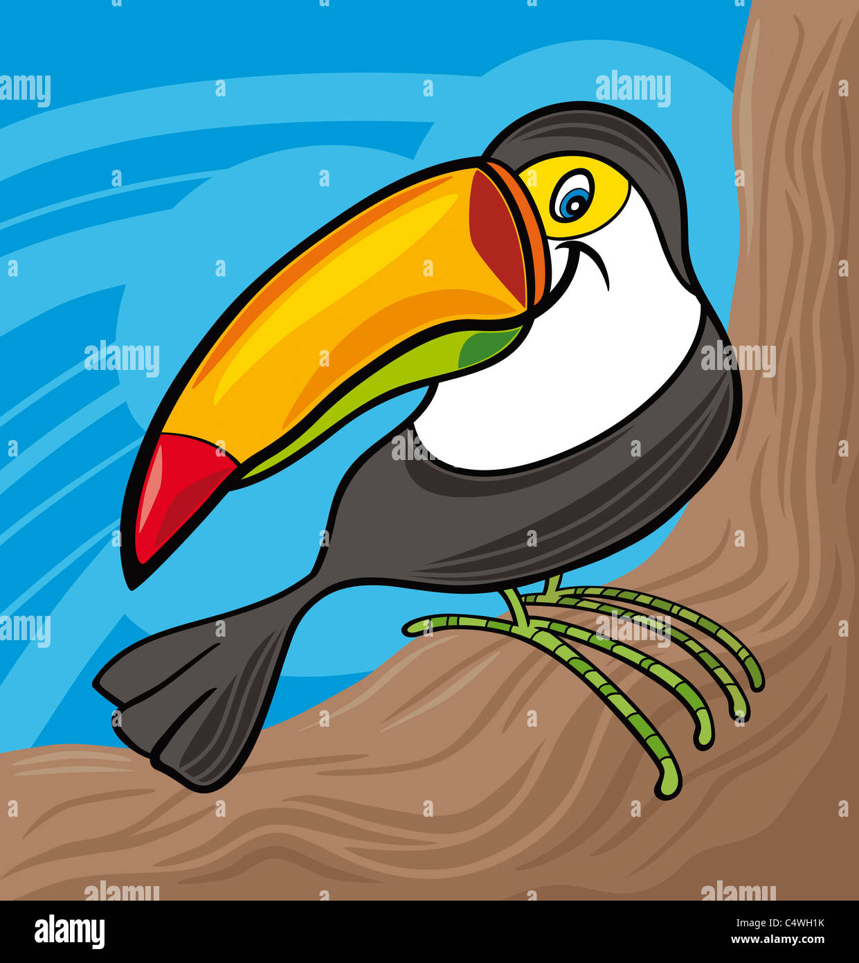 cartoon illustration of funny toucan Stock Photo - Alamy