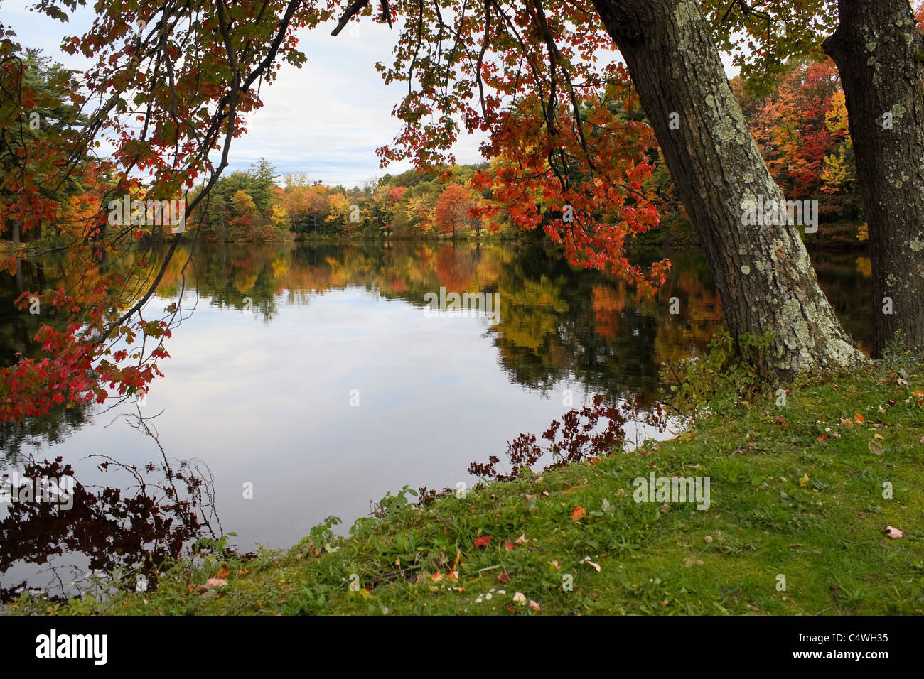 A gorgeous autumn scene with a lake and trees showing the bright colors ...