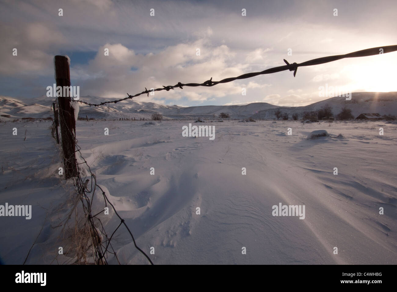 A snowy winter morning plain - countryside snow outdoor scene freezing ...