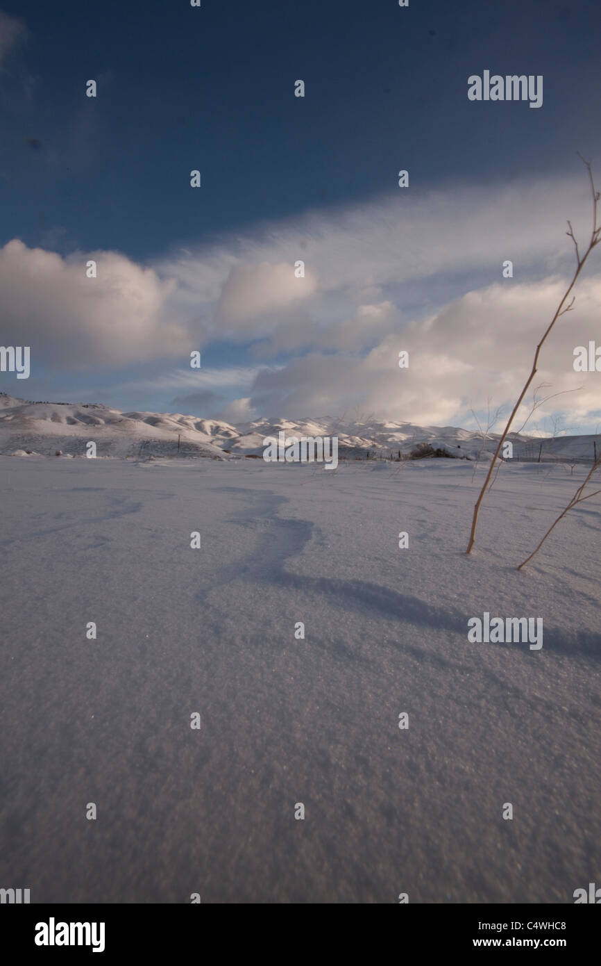 A snowy winter morning plain - countryside snow outdoor scene freezing ...