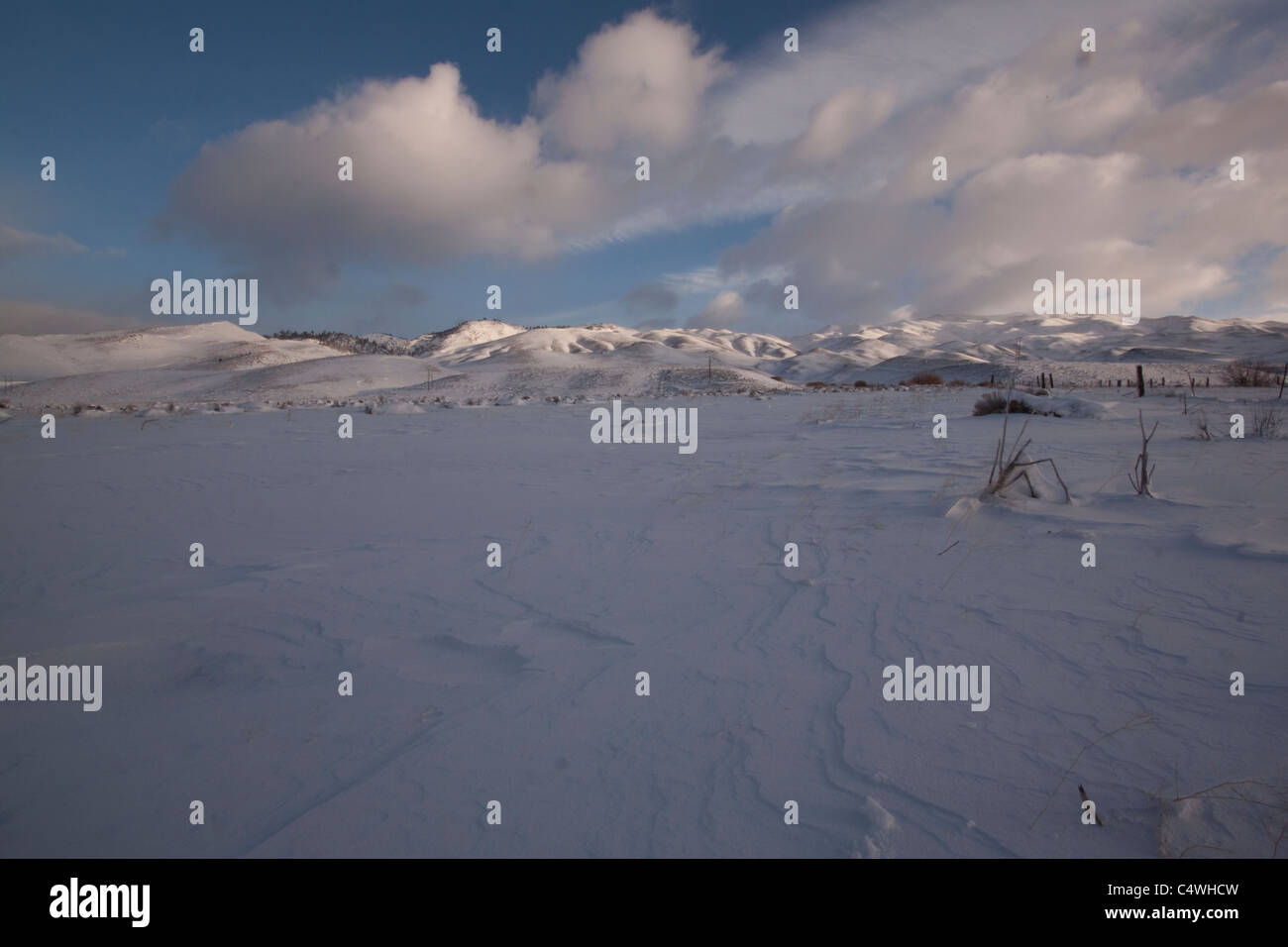 A snowy winter morning plain - countryside snow outdoor scene freezing ...