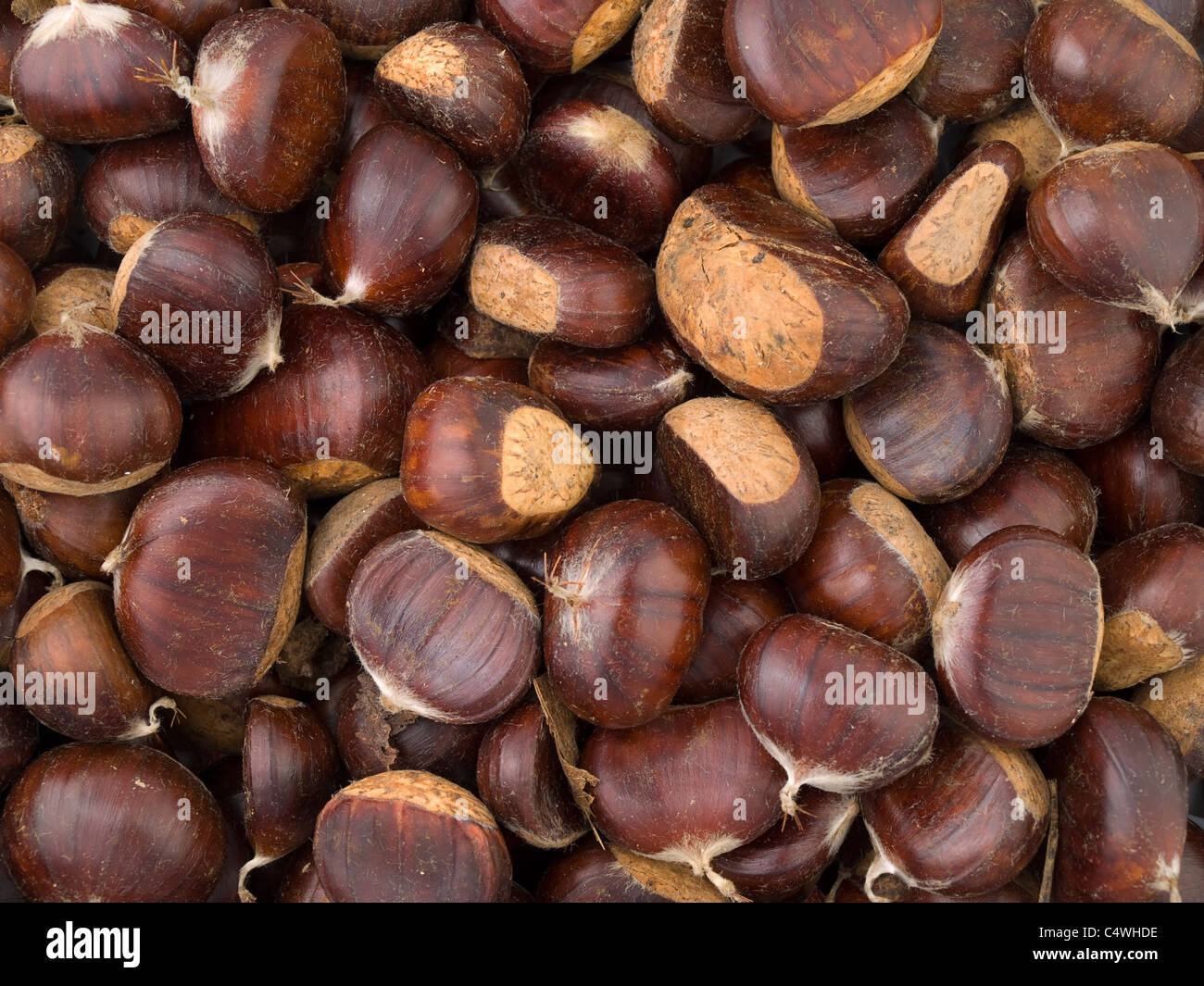 pile of chestnuts . overhead shot, useful for backgrounds Stock Photo ...