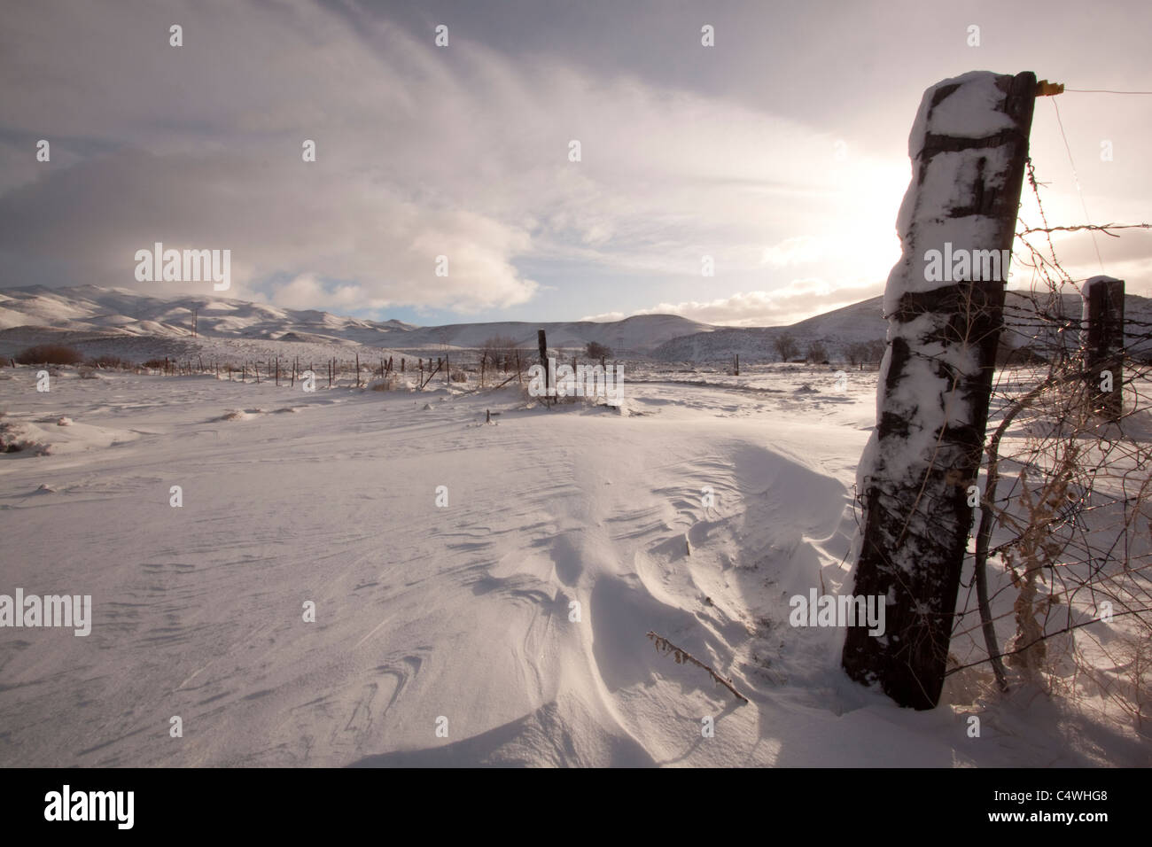 A snowy winter morning plain - countryside snow outdoor scene freezing ...