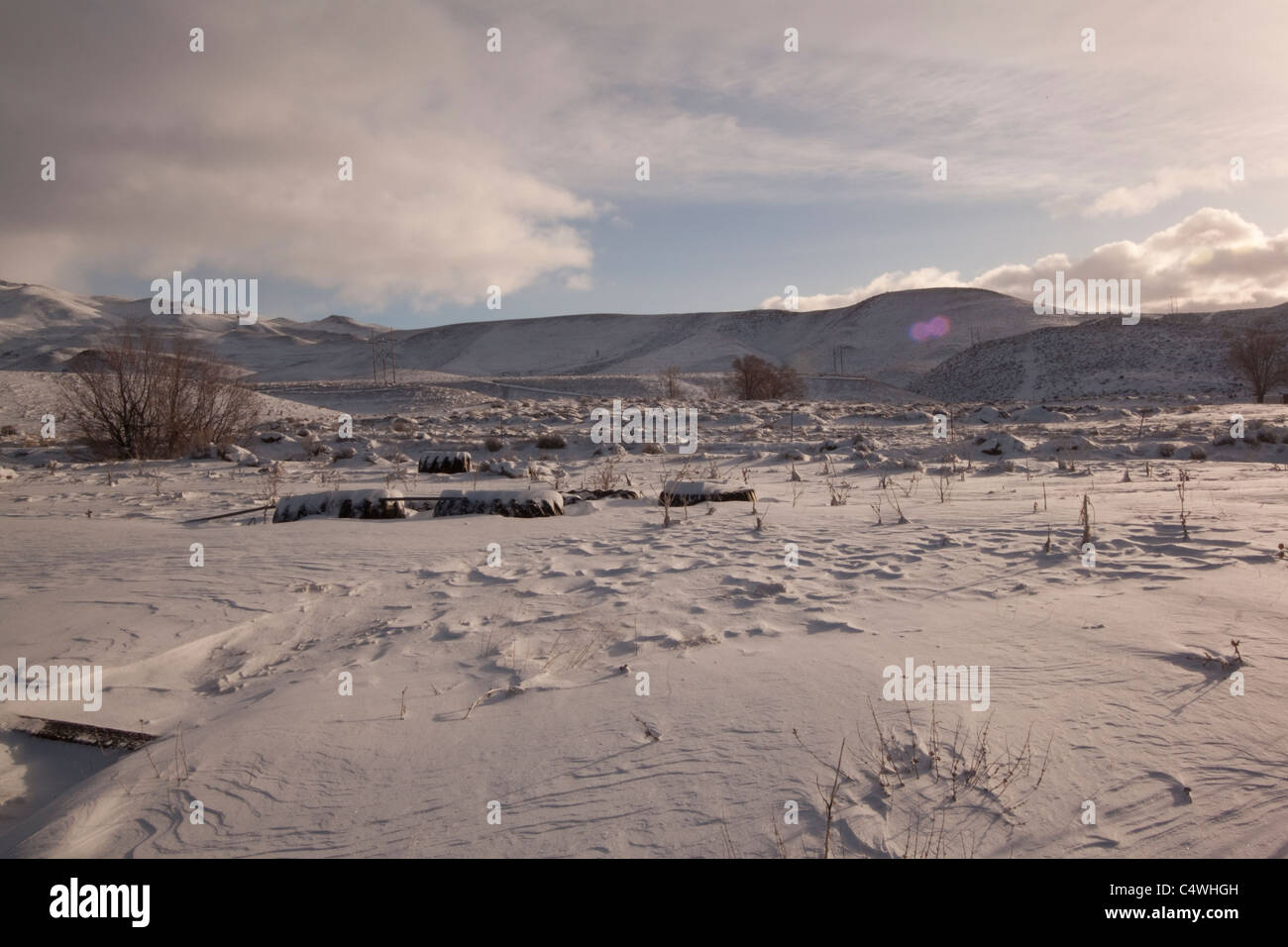 A snowy winter morning plain - countryside snow outdoor scene freezing ...