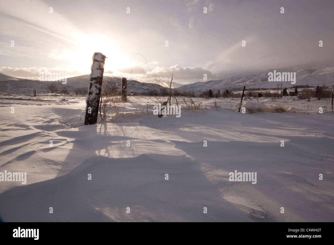 A snowy winter morning plain - countryside snow outdoor scene freezing ...