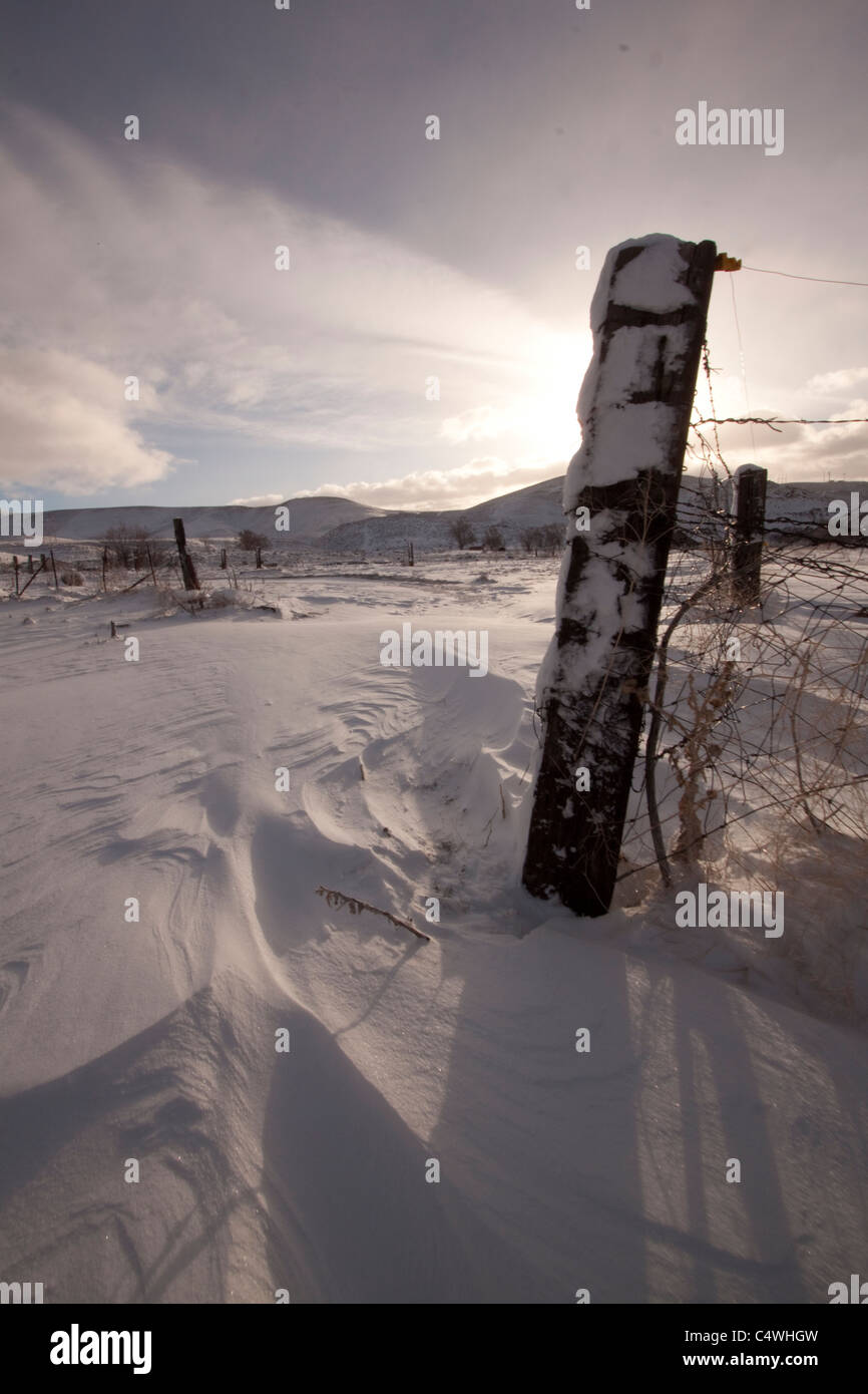 A snowy winter morning plain - countryside snow outdoor scene freezing ...
