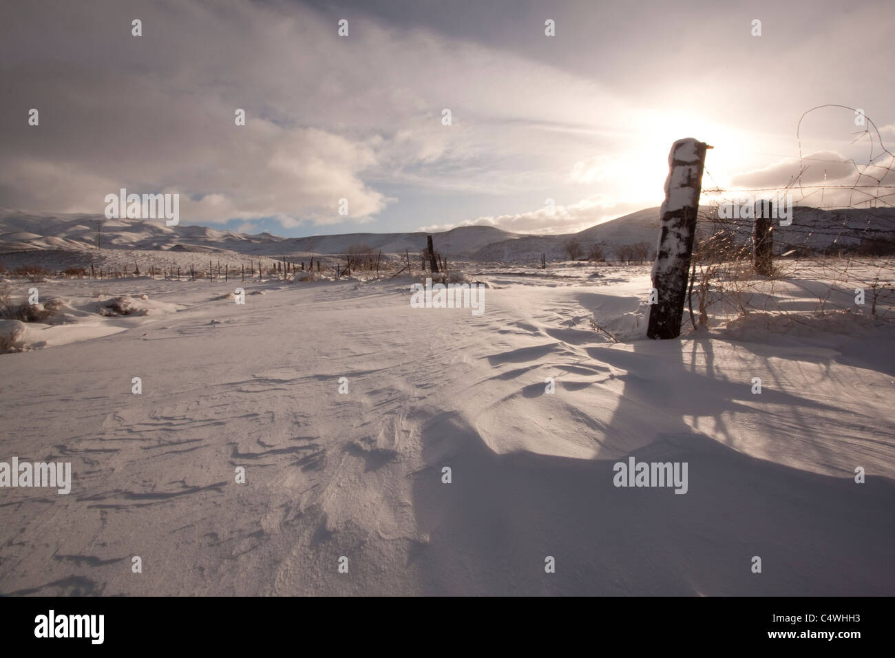 A snowy winter morning plain - countryside snow outdoor scene freezing ...