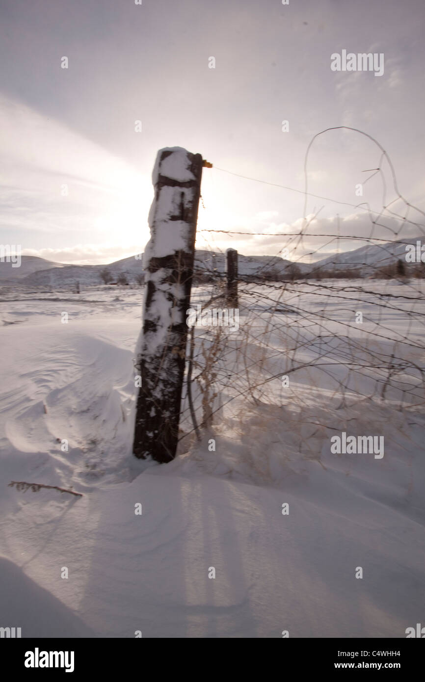 A snowy winter morning plain - countryside snow outdoor scene freezing ...