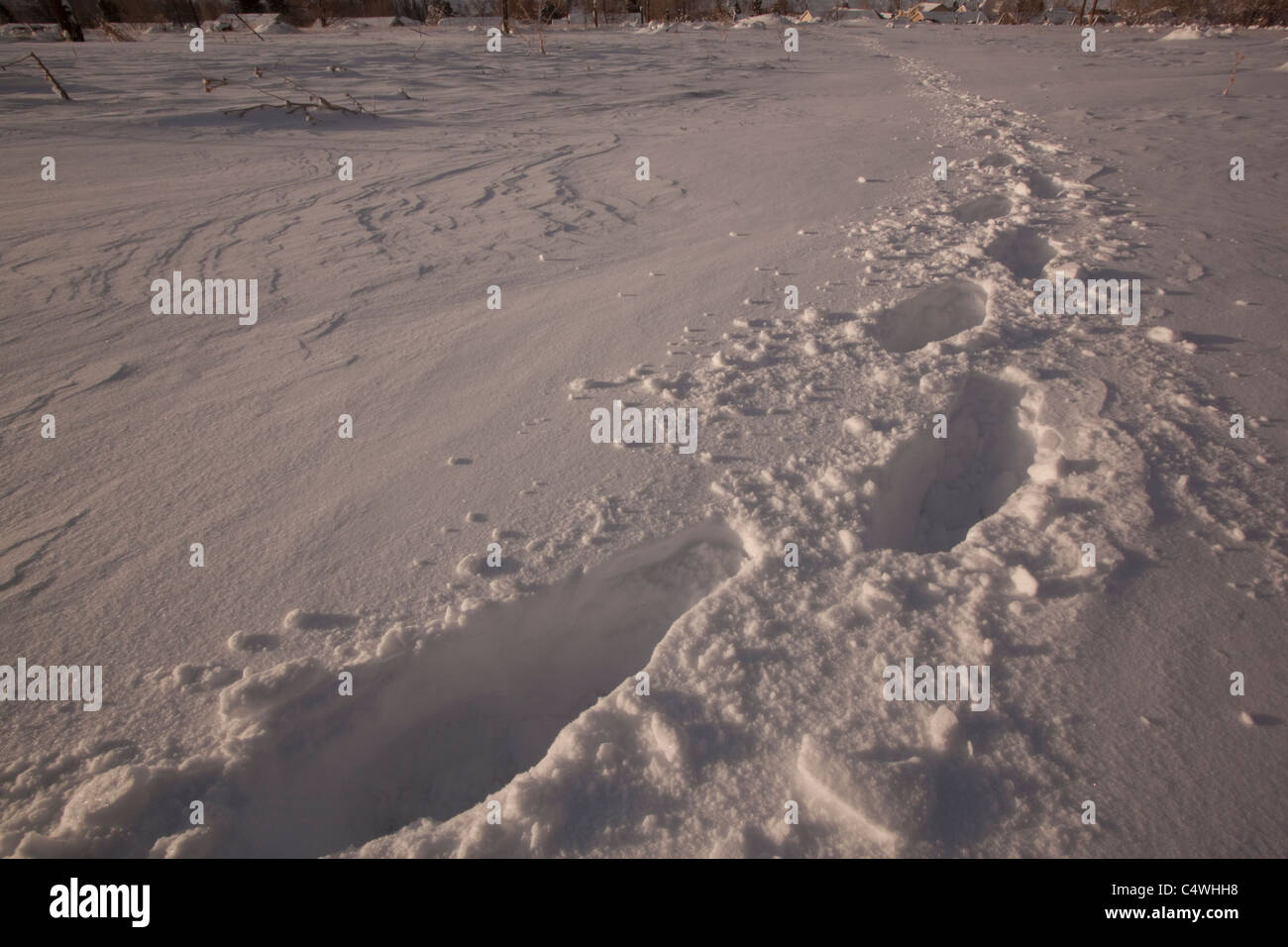 A snowy winter morning plain - countryside snow outdoor scene freezing ...