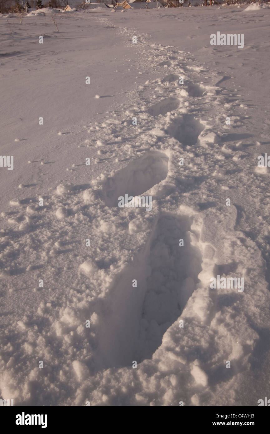 A snowy winter morning plain - countryside snow outdoor scene freezing ...