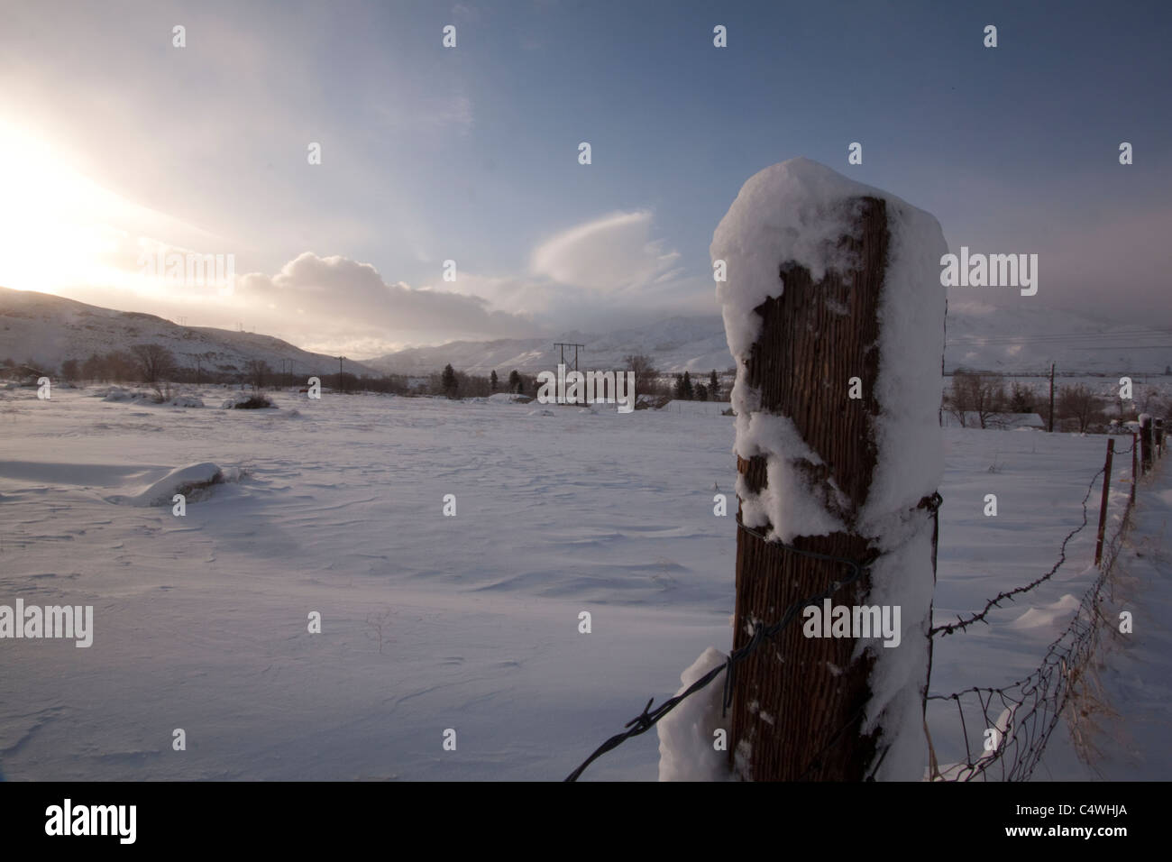 A snowy winter morning plain - countryside snow outdoor scene freezing ...