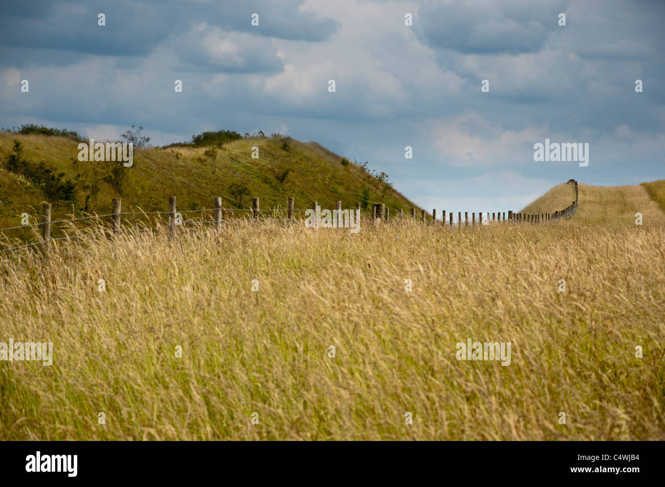 Anglo saxon earthwork, cambridgeshire hi-res stock photography and ...