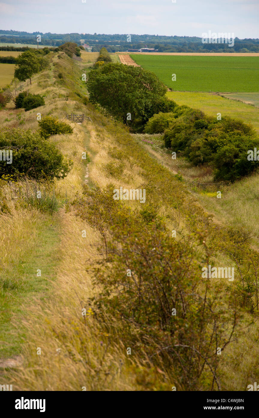 Devil's Ditch (also called Devil's Dyke) an Anglo-Saxon earthwork in ...