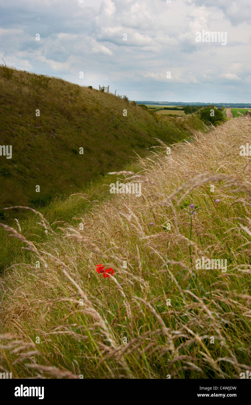 Devil's Ditch (also called Devil's Dyke) an Anglo-Saxon earthwork in ...