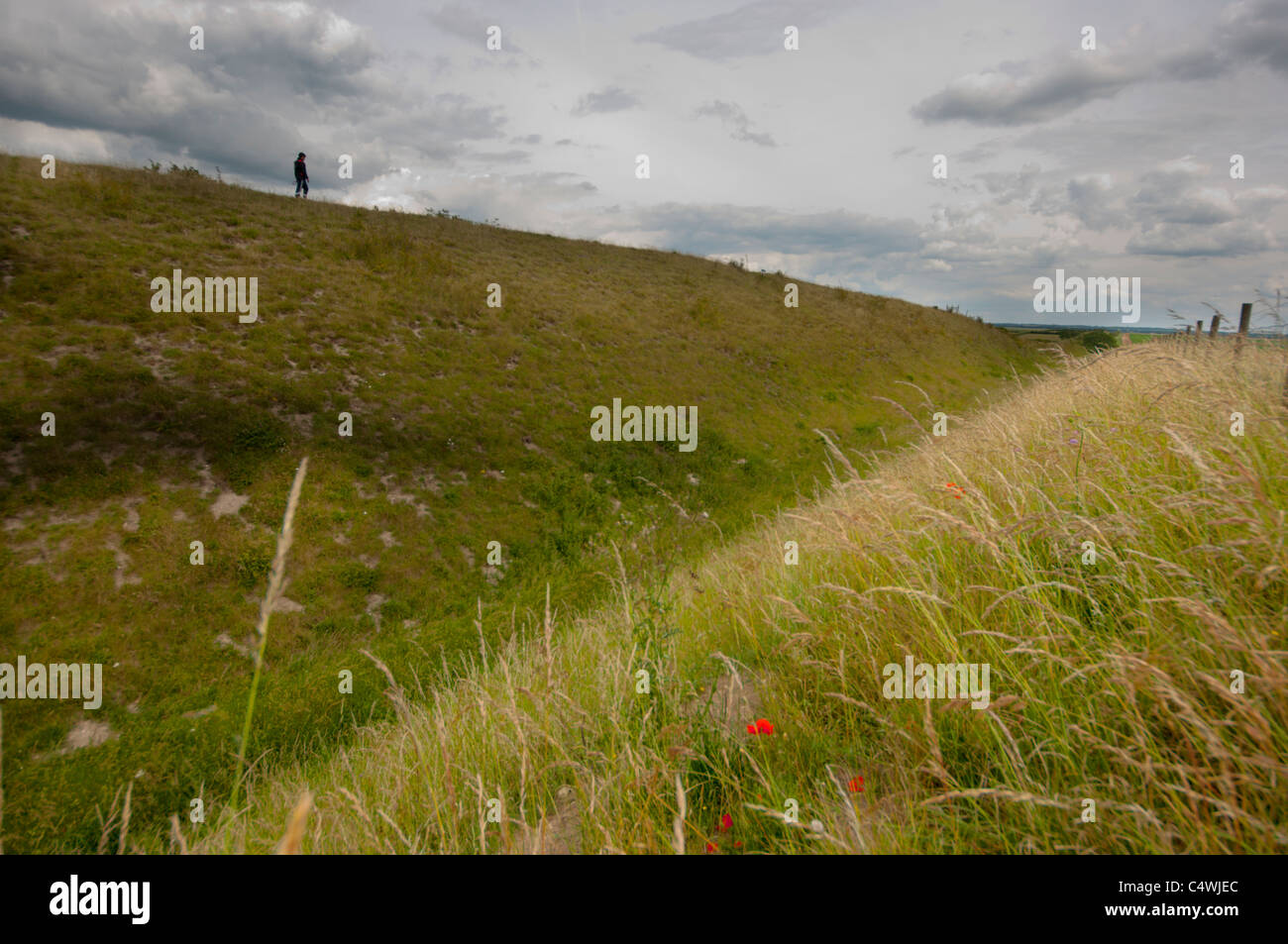 Devil's Ditch (also called Devil's Dyke) an Anglo-Saxon earthwork in ...