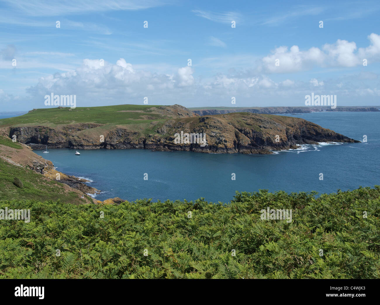 Skomer wildlife reserve hi-res stock photography and images - Alamy