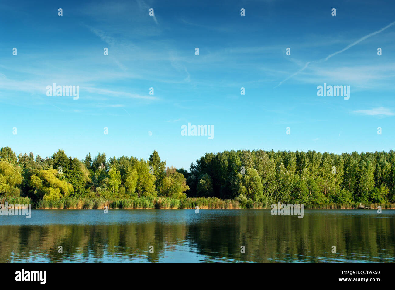 Danube Riverside Forest High Resolution Stock Photography and Images ...
