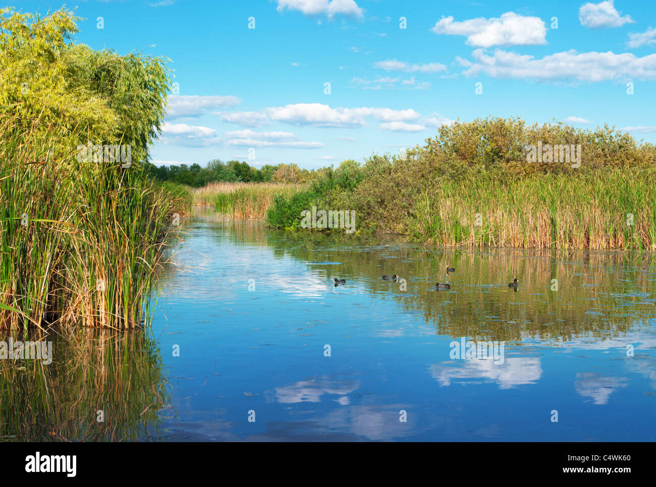Danube landscape hi-res stock photography and images - Alamy
