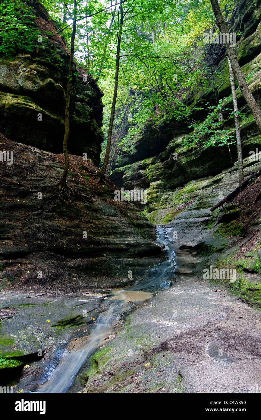 Starved Rock State Park Stock Photo - Alamy