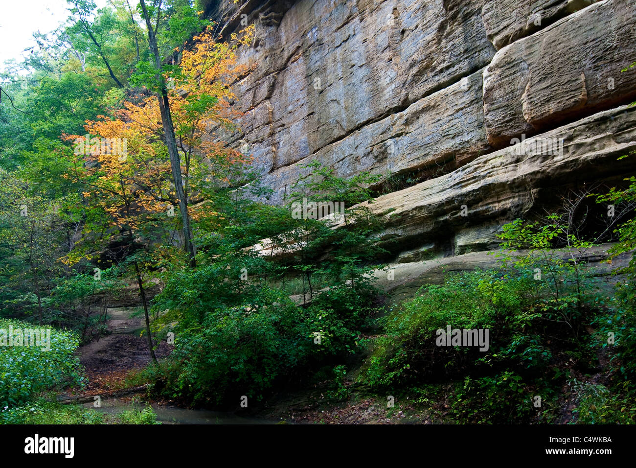 Starved Rock State Park Stock Photo - Alamy