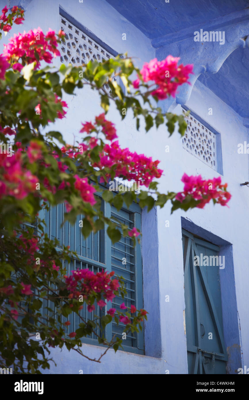 Brahmin house hi-res stock photography and images - Alamy