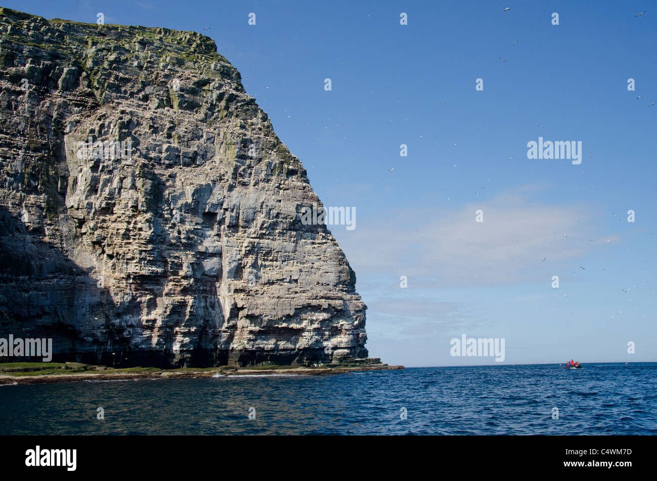 Scotland, Shetland Islands. Noss Scottish Natural Nature Reserve ...