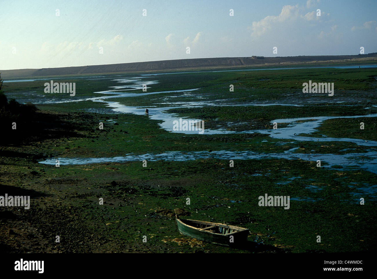 Oualidia oysters hi-res stock photography and images - Alamy
