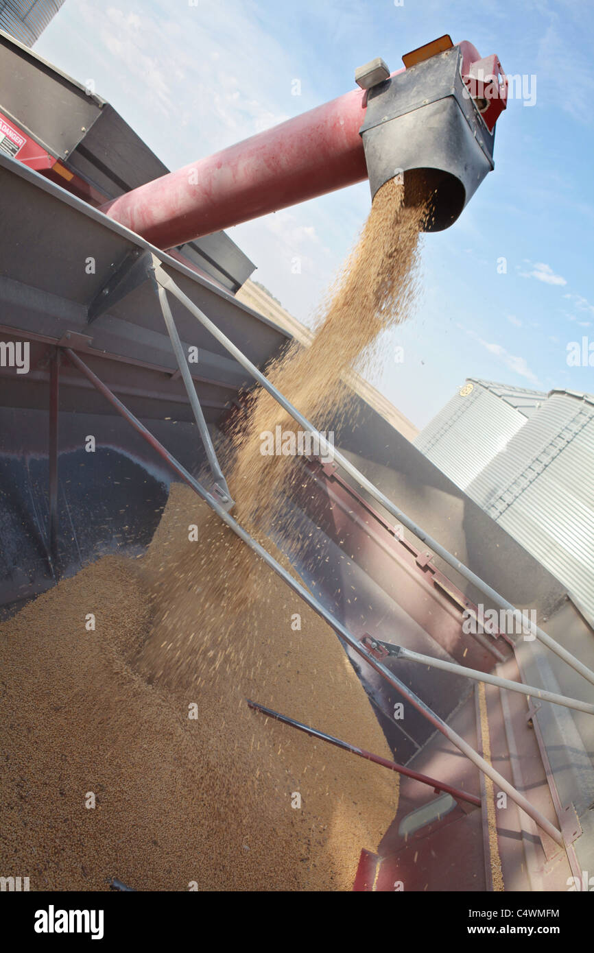 Grain unloading High Resolution Stock Photography and Images - Alamy