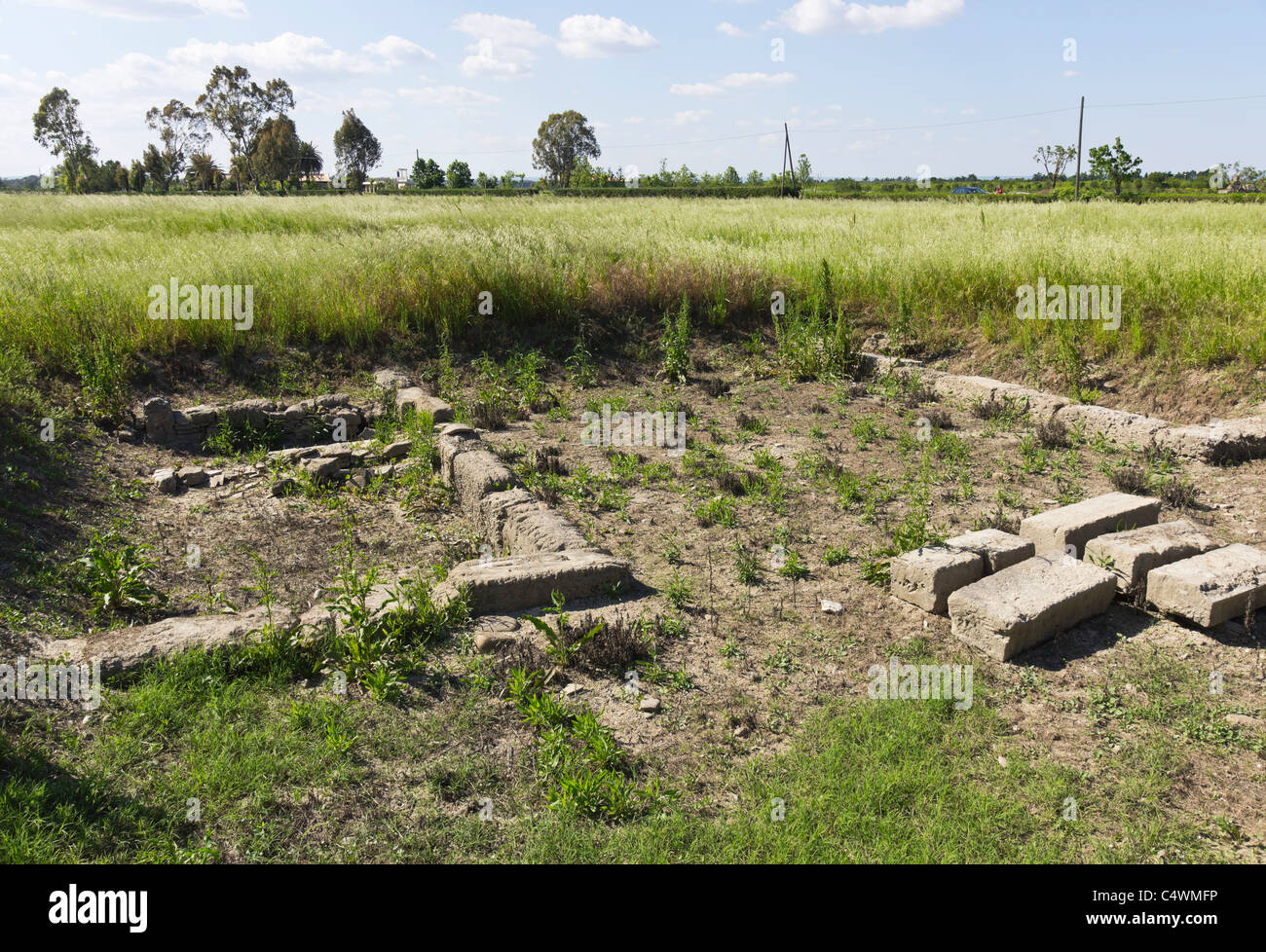 Metaponto archaeological site hi-res stock photography and images - Alamy
