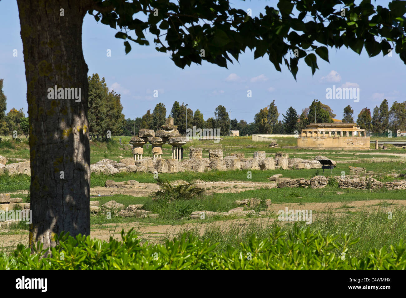 Italy - Metaponto Roman excavation site, coast of Basilicata region ...