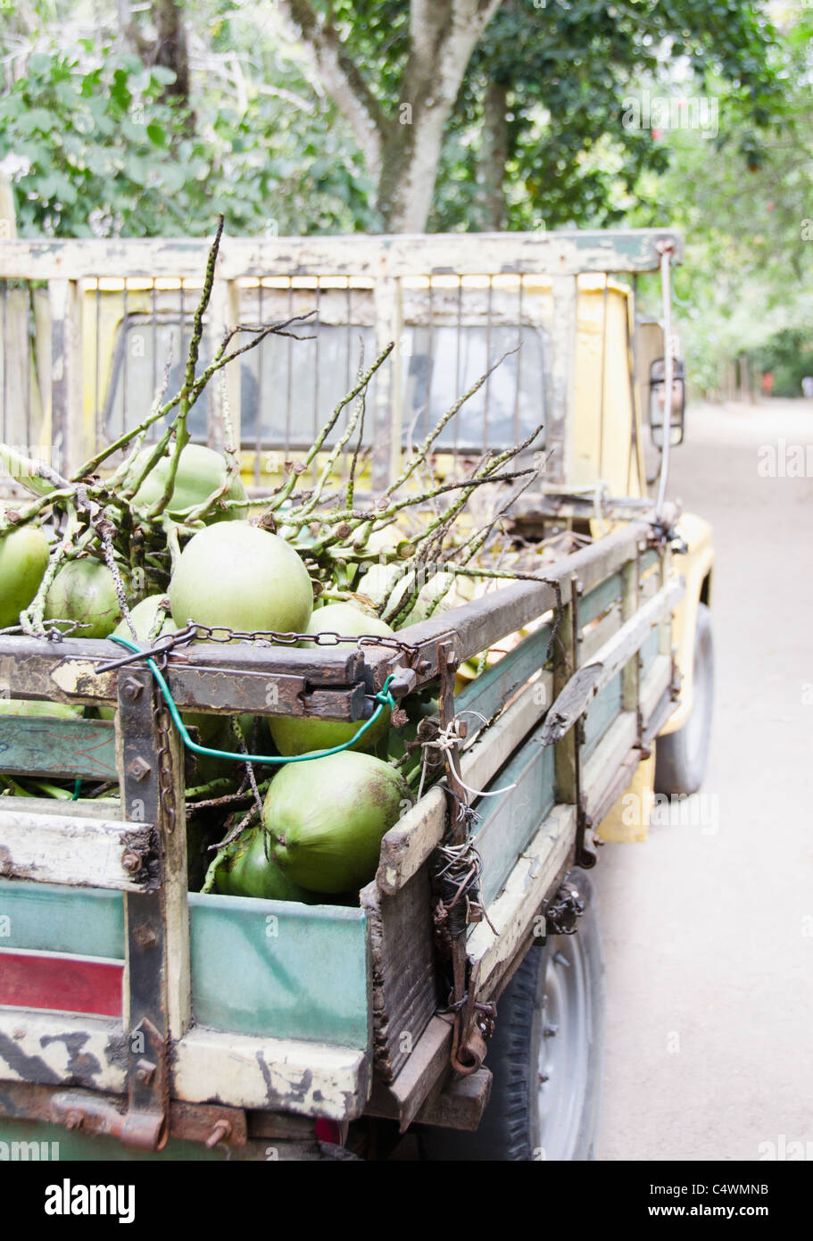 Pick coconuts hi-res stock photography and images - Alamy