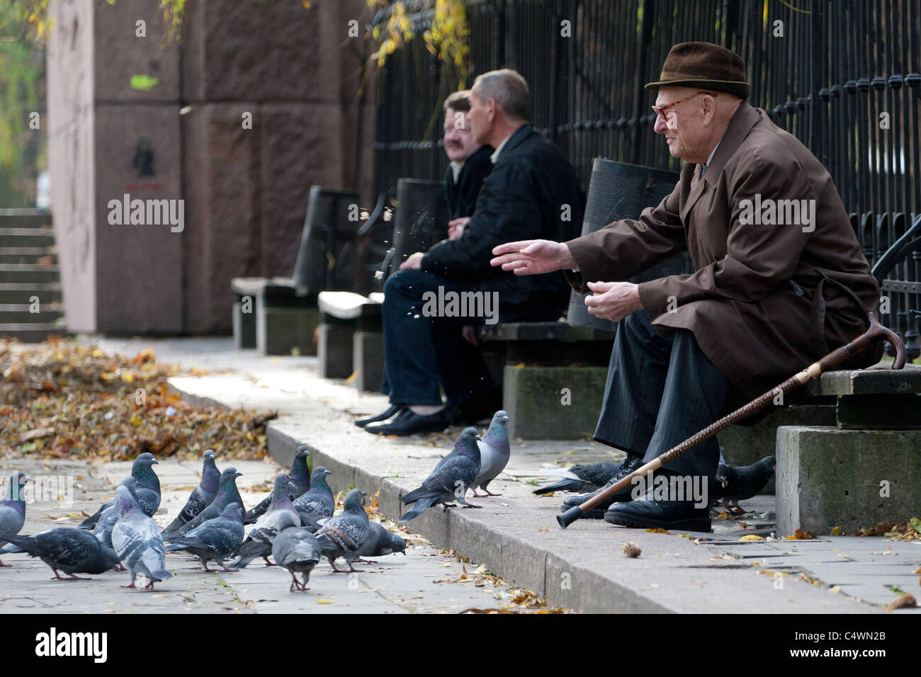 Old men feeding pigeons in Lviv, Ukraine Stock Photo - Alamy