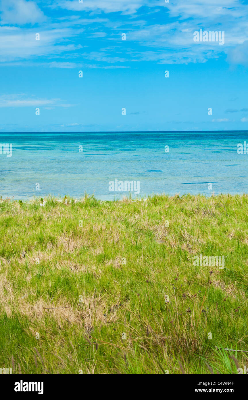 Grassy beach hi-res stock photography and images - Alamy